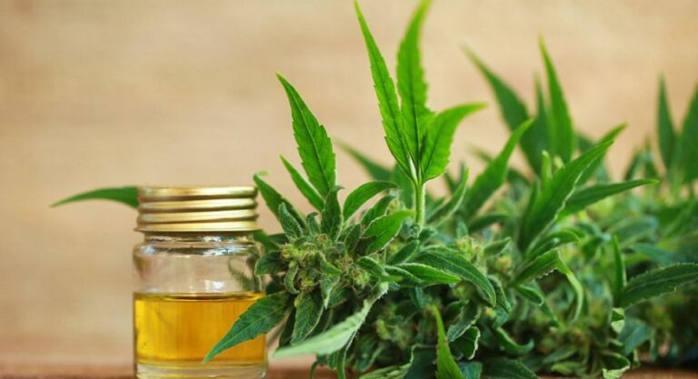 How to make THC oil at home in India? | Republicnewsworld.com